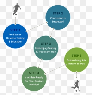 Impact Concussion Information - Impact Concussion Management Model ...