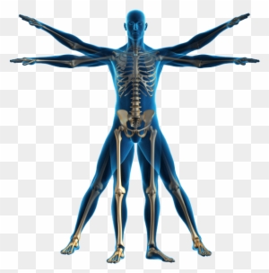 Clip Art Black And White Human Body Man - Human Body Png - Free ...