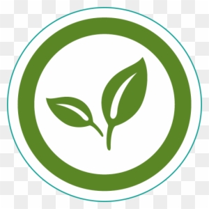Environmental Wellness - Environmental Dimension Of Wellness - Free ...