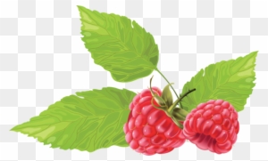 Great Clip Art Of Fruit - Raspberry Vector Free - Free Transparent PNG ...
