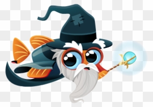 Direct Link To This Image File - Rare Wizard Fish Fish With Attitude ...