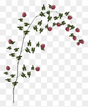 Vine Clipart Black Rose - Floral Border Clip Art - Free Transparent PNG ...