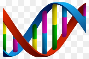 Pngpix Com Dna Vector Png Transparent Image - Dna Double Helix Clipart ...