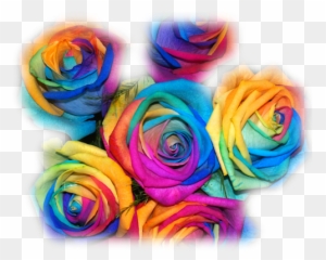 Rainbow Rose Flower Euclidean Vector - Rainbow And Flowers Png - Free ...