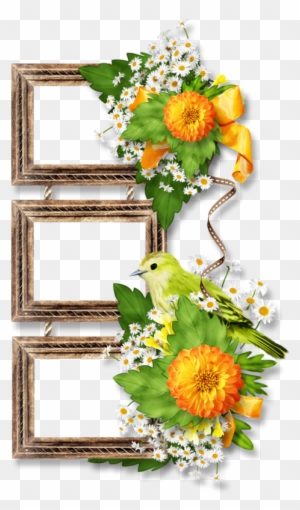 Background, Frame, Scrapbooking, Texture, Scrapbook - Picture Frame ...