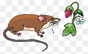 Drooling Clipart, Transparent PNG Clipart Images Free Download - ClipartMax