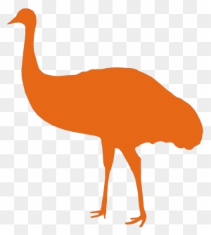 Flightless Bird - Free Transparent PNG Clipart Images Download