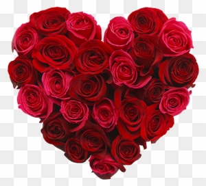 We Took A Look At The Top Cards And Flowers Brands - Red Roses Made ...