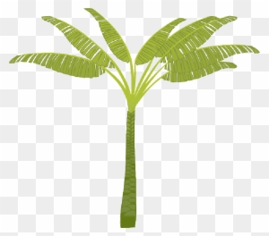 Palm Tree Png Images, Download Free Pictures - T Shaped Palm Tree ...
