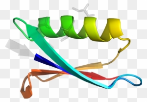 D5zw3a In Context Of Pdb - Graphic Design - Free Transparent PNG ...