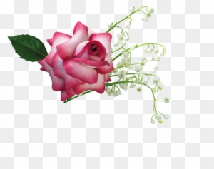Tinypic - Free Transparent PNG Clipart Images Download