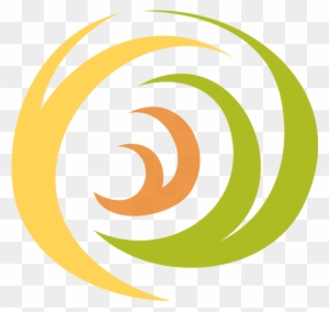 The Vineyard Movement Is A Network Of Over 1,500 Churches - Vineyard ...