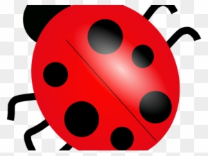 Ladybugs Clipart Red Ladybugs Clip Art At Clker Vector - Many Legs Does ...