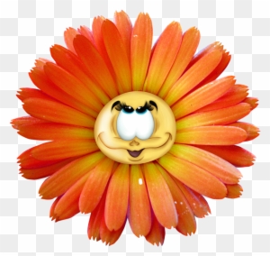 Animated Flowers With Faces