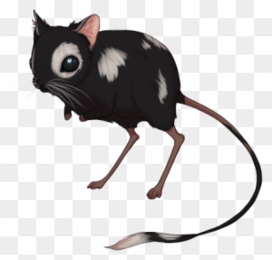 Kangaroo Rat Clipart - Desert Kangaroo Rat Clipart - Free Transparent ...