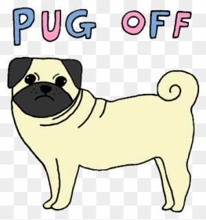 Drawn Pug Derpy - Cute Derpy Pugs Drawings - Free Transparent PNG ...