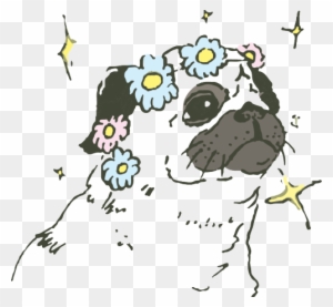 Pug Life🌸 Transparent For Your Blog - Pug - Free Transparent PNG ...