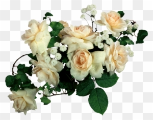 White Roses - Psd Frames For Photoshop Free - Free Transparent PNG ...