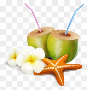 Tropical Coconut Drink Clipart - Tropical Coconut Drink Clipart - Full ...