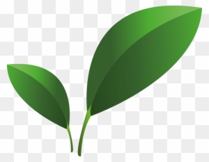 Organic Contaminants - Food - Free Transparent PNG Clipart Images Download