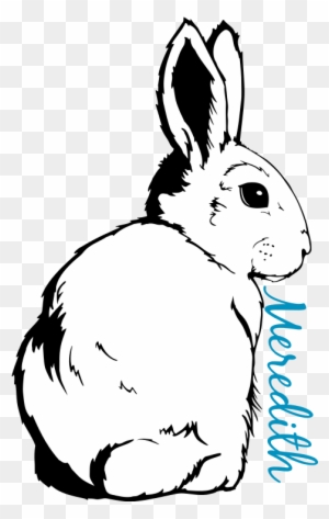 Cynthia And Stitch By Lucarioshirona Cynthia And Stitch - Pokemon ...