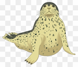 Harp Seal Clipart Transparent - Clip Art - Free Transparent PNG Clipart ...