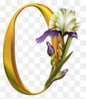 Iris Alphabet - Alphabet - Free Transparent PNG Clipart Images Download