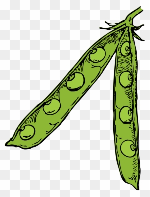 Twin Peas In A Pod Clipart School