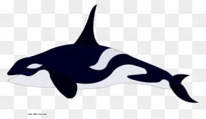 Killer Whale Clipart, Transparent PNG Clipart Images Free Download ...