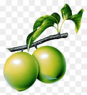 Guava Lemon Clip Art - Fruits - Free Transparent PNG Clipart Images ...