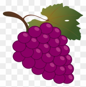 Grapes - Bunch Of Grapes - Free Transparent PNG Clipart Images Download