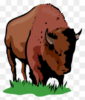 Bison Clipart Buffalo - Clipart Bison - Free Transparent PNG Clipart ...