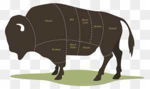 Illustration Of A Bison With Diagrammed Cuts - Bison Cuts - Free ...