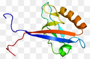 Protein Data Bank - Free Transparent PNG Clipart Images Download