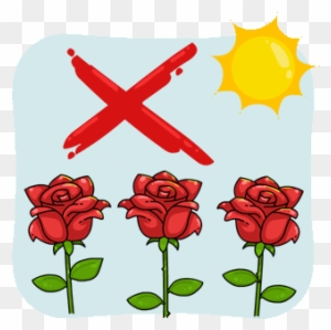 Open - Keep Away From Sunlight Symbol - Free Transparent PNG Clipart ...