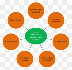 Download - Different Types Of Media - Free Transparent PNG Clipart ...