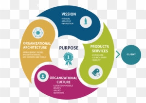 Cultural Evolution - Model On Organization Culture - Free Transparent ...