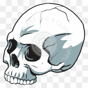 Skull Clipart Looking Left - Free Transparent PNG Clipart Images Download