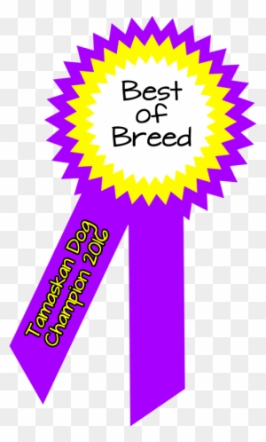 Best Of Breed - Award - Free Transparent PNG Clipart Images Download