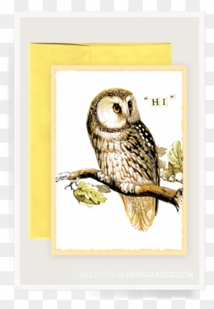 Hi Owl Folded Greeting Card - Giclée-druck: Lear's Illustration Of ...