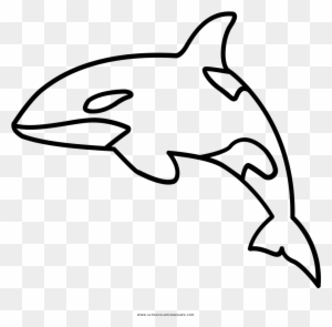 Orca Outline