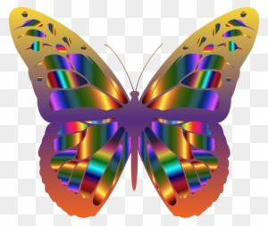 Rainbow Butterfly Clipart Bird - Iridescent Monarch Butterfly 15 Totes ...