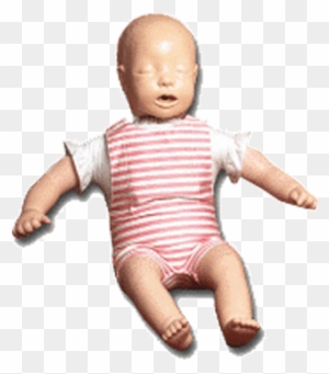 Transparent Anatomical Manikin - Free Transparent PNG Clipart Images ...