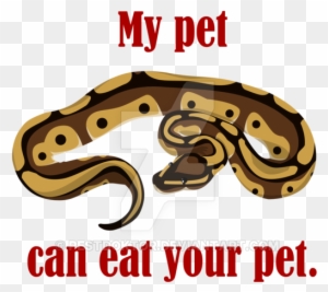 Hugs And Hisses Ball Pythons By Nadilynbeato On Deviantart - Cute Ball ...