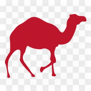 Camel Png Free Png Images Toppng Rh Toppng Com - Camel Icon - Free ...
