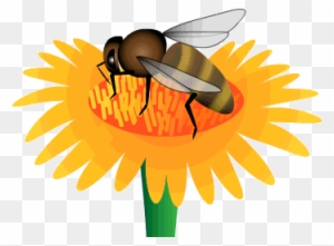 Bee And Flower Clipart, Transparent PNG Clipart Images Free Download ...