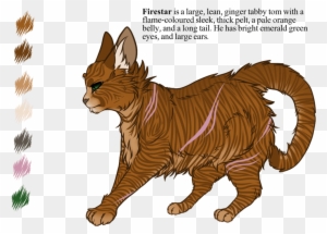 Firestar Description - Free Transparent PNG Clipart Images Download