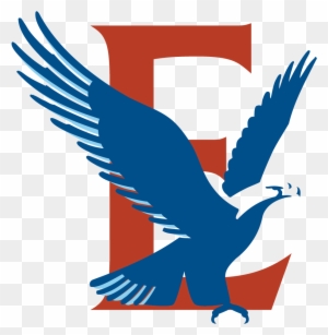 Estock Eagles - Hawk - Free Transparent PNG Clipart Images Download