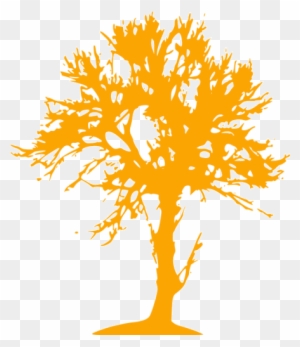 Wisdom Clip Art, Transparent PNG Clipart Images Free Download - ClipartMax