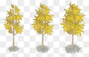 Initially, I Intended For The Trees To Be Animated - Plane-tree Family ...